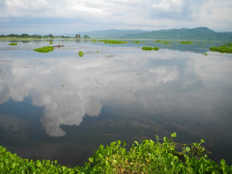Deepor Beel: A Vital Wetland Ecosystem With 219 Bird Species